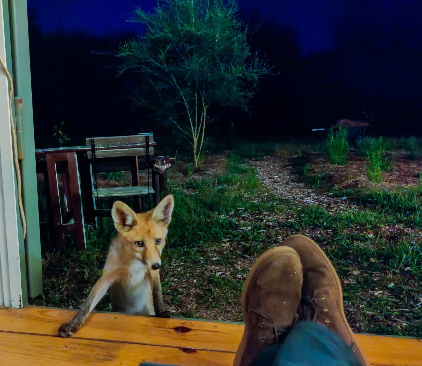 Project Kamp Season #1