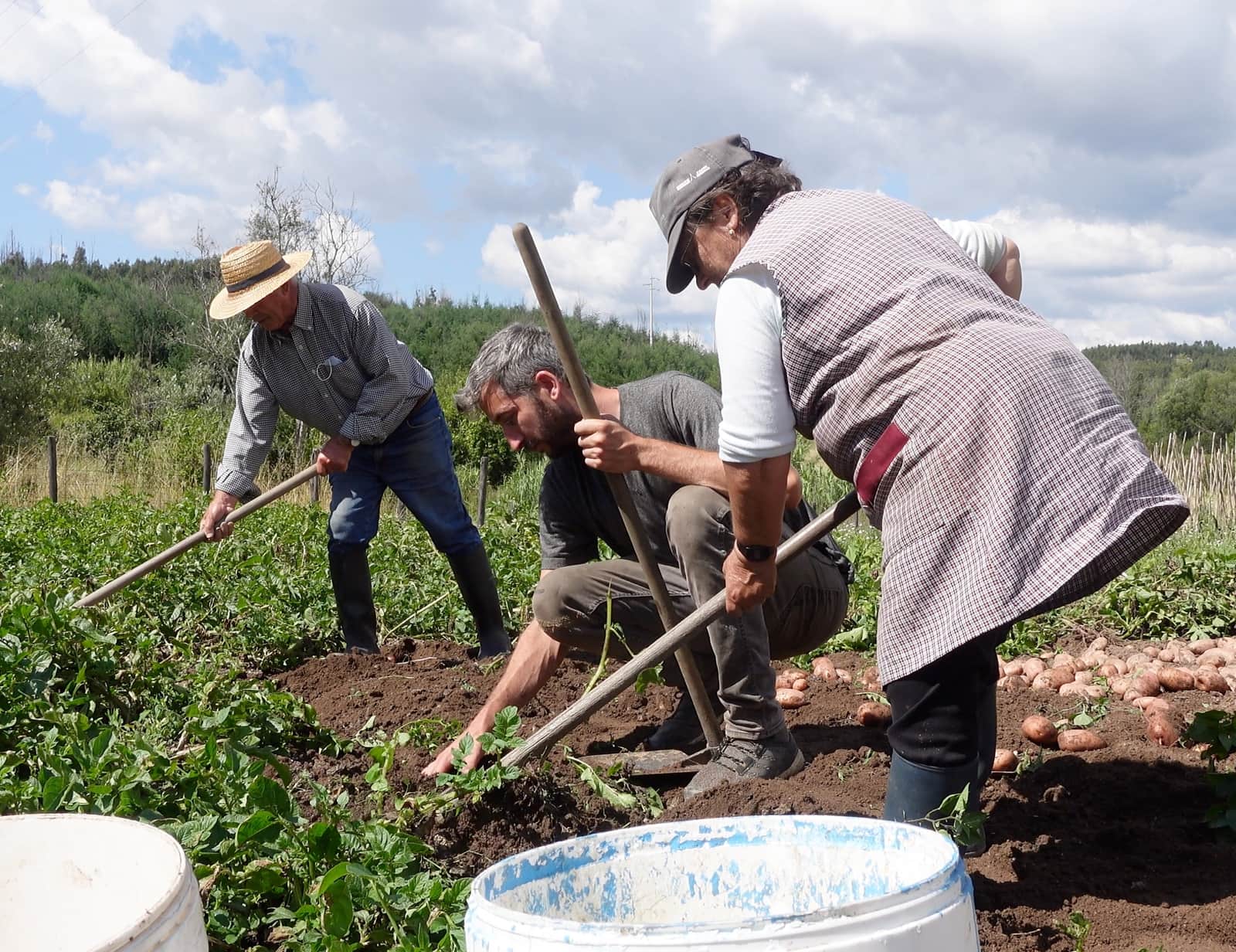 Project Kamp Season #1