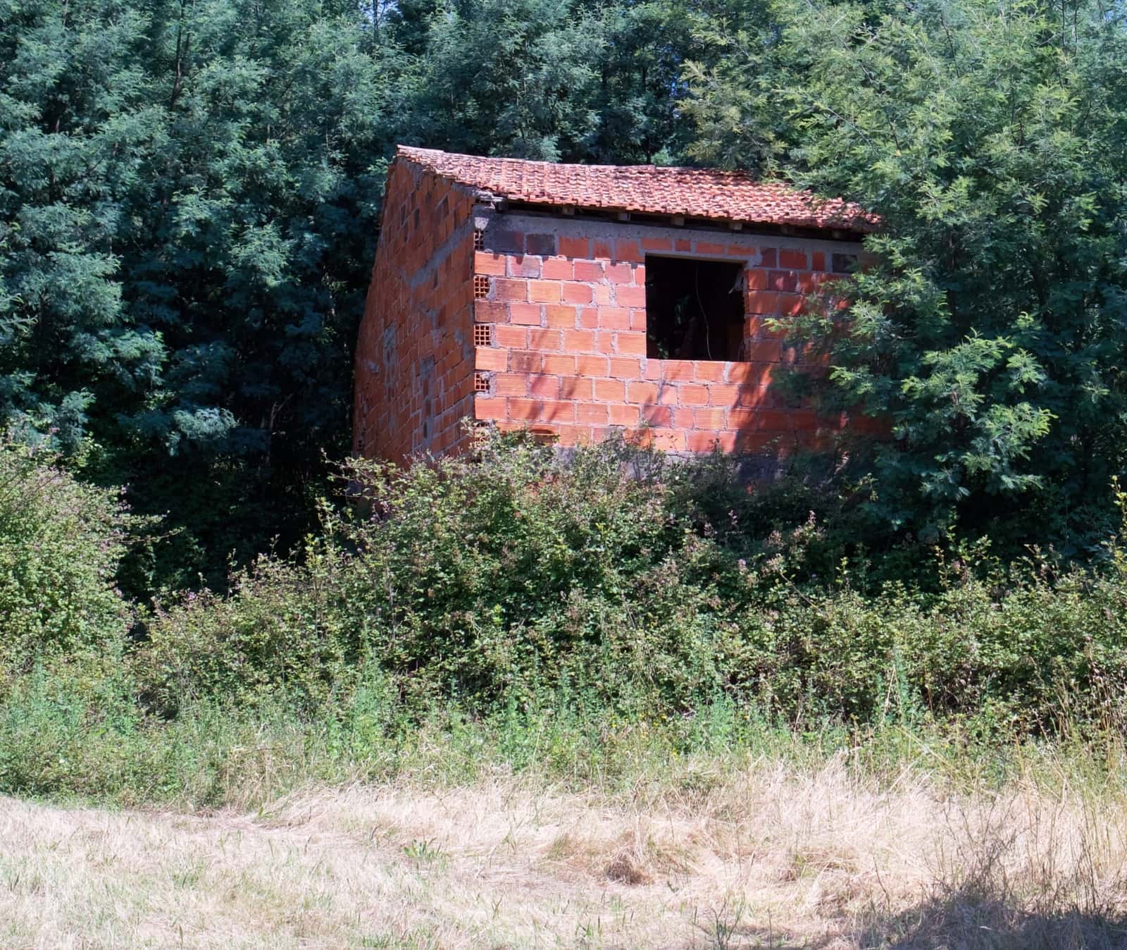 Project Kamp Season #1